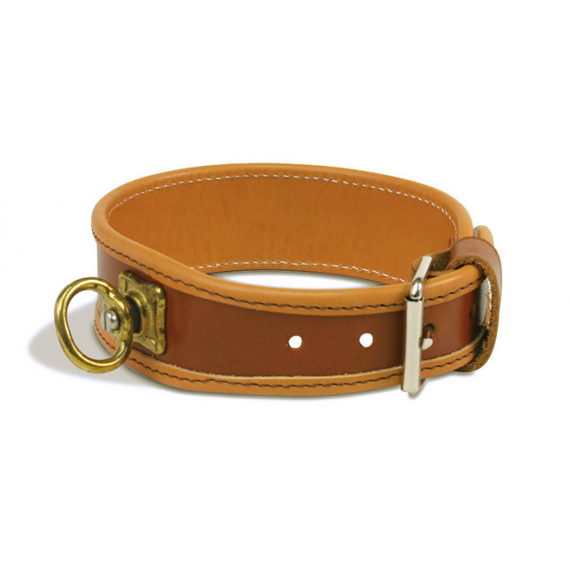 Colliers pour chien - Le-Chasseur
