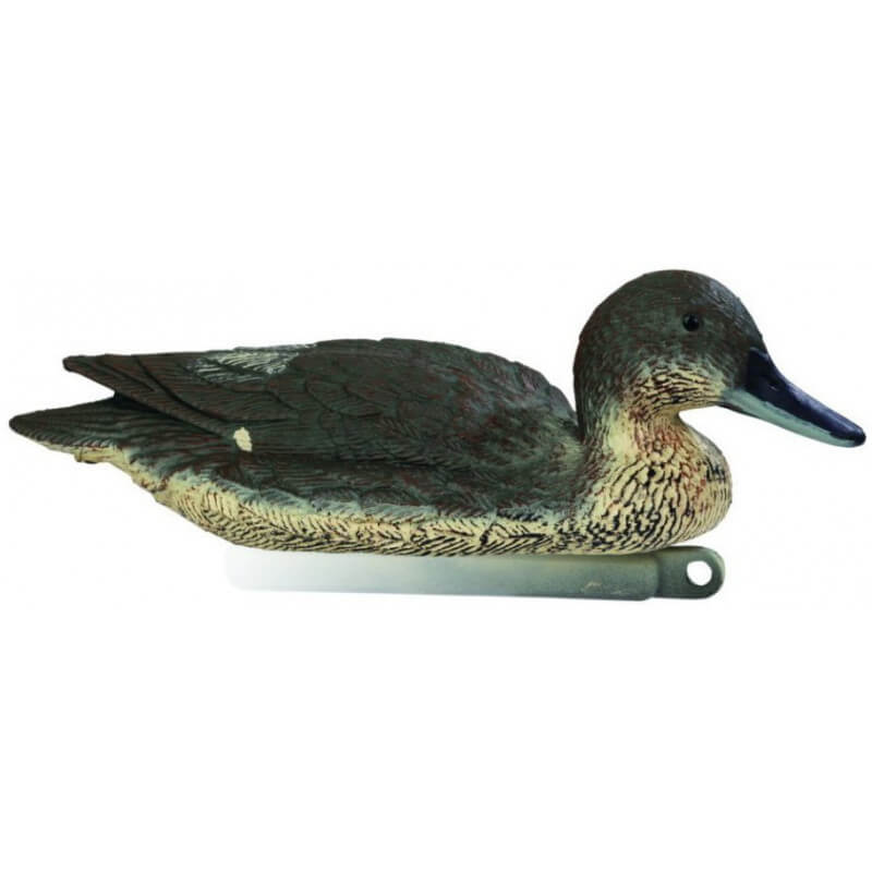 Appelants - Le-Chasseur