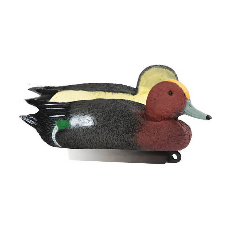 Appelants - Le-Chasseur