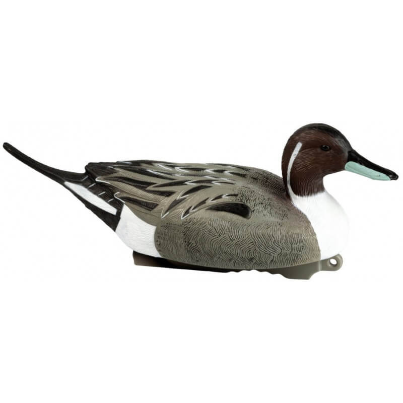 Appelants - Le-Chasseur